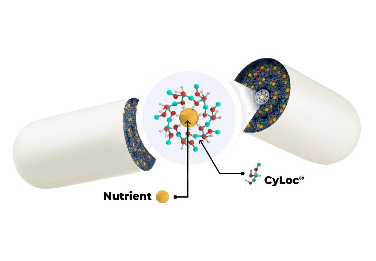 Analysis of Microencapsulation Techniques | Advanced Powder Dynamics
